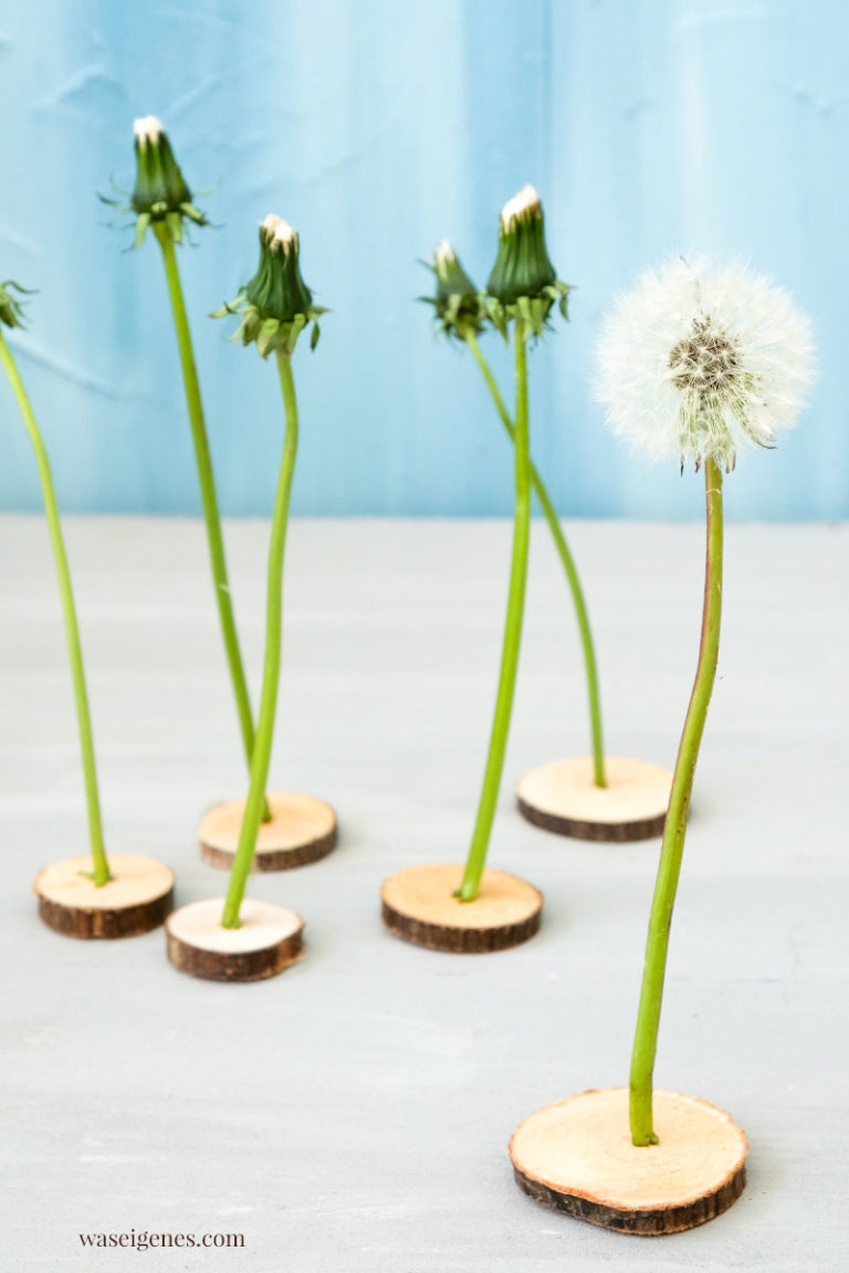 Pusteblumen haltbar machen - eine wunderschöne & fixe DIY Idee