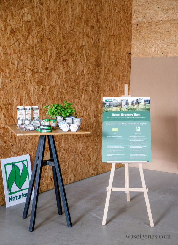 Soja und Tofu made in Germany - mit REWE Bio auf dem Sojafeld.