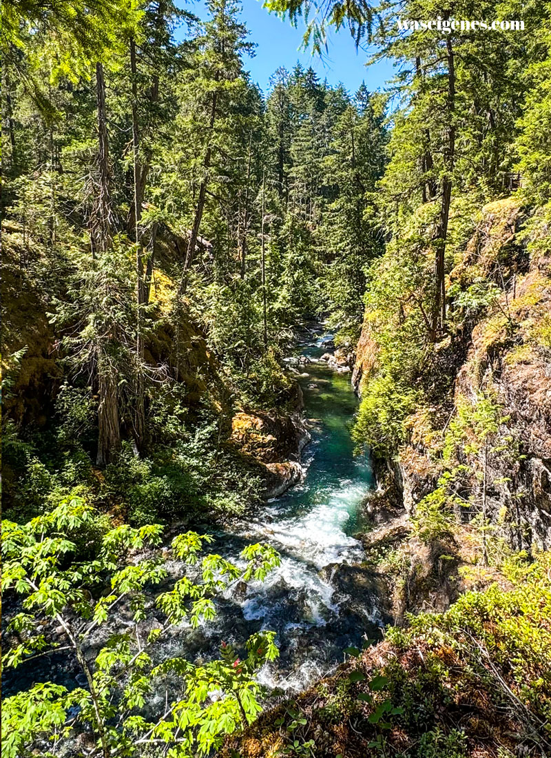 Little Qualicum River | Cathedral Grove | Pacific Trail | Kanada