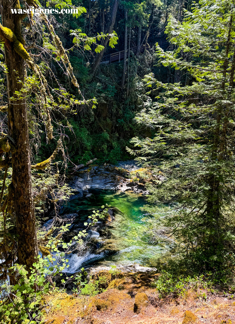 Little Qualicum River | Cathedral Grove | Pacific Trail | Kanada