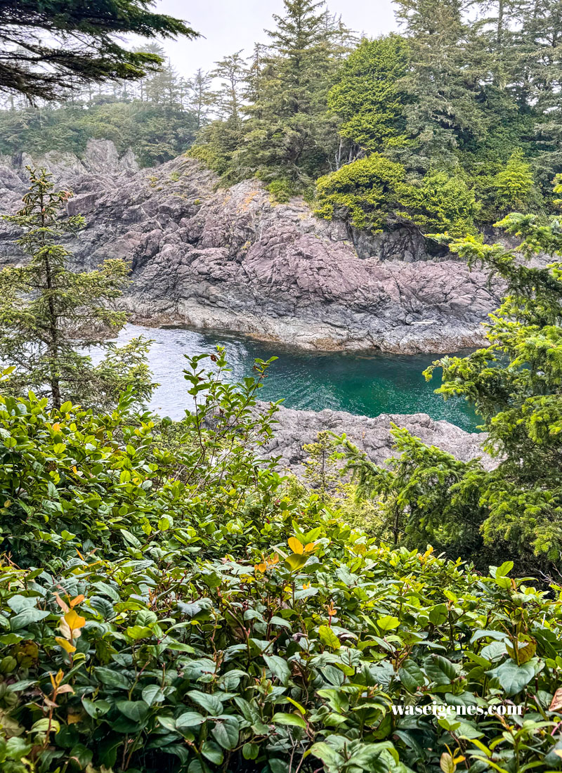 Little Qualicum River | Cathedral Grove | Pacific Trail | Kanada